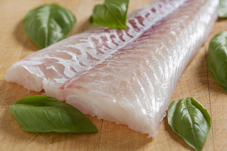 Fish Cod Allergen Test | HNL Patient Portal & Lab Tests Direct